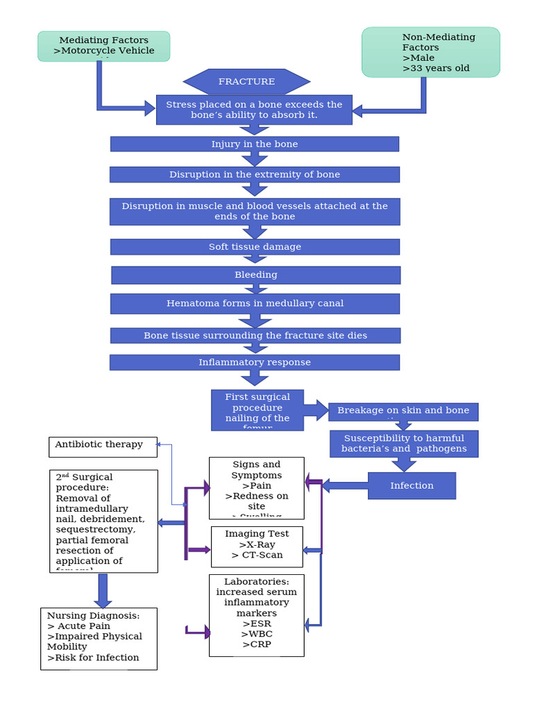 fracture Patho | PDF