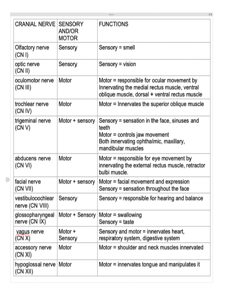 cranial nerve chart | PDF