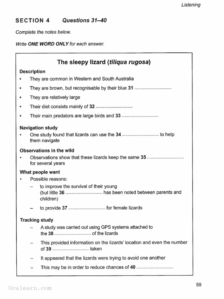 Cambridge 13 Dragged 7 | PDF