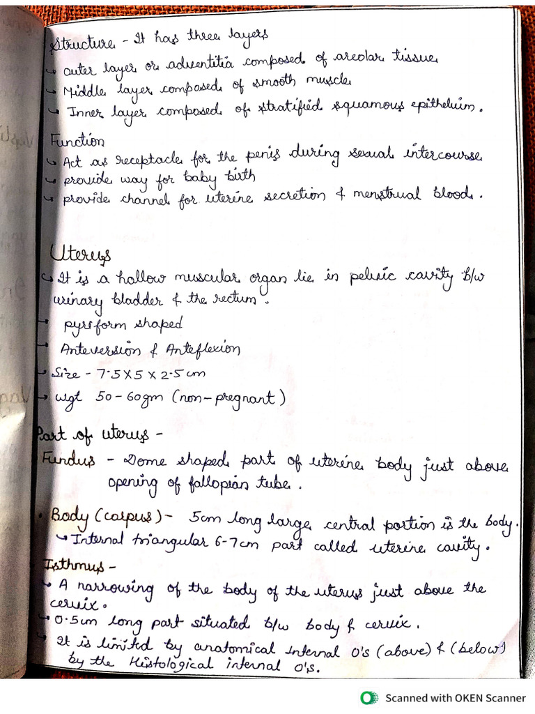 OBG Practical File-21-30 | PDF