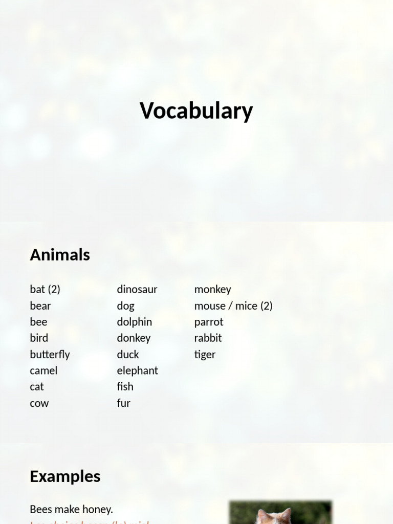 Animal Vocabulary and Examples | PDF