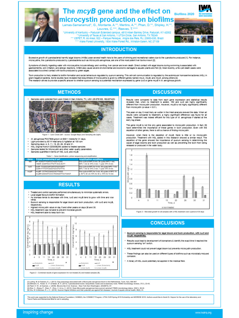 The Mcyb Gene and The Effect On Microcystin Production On Biofilms ...
