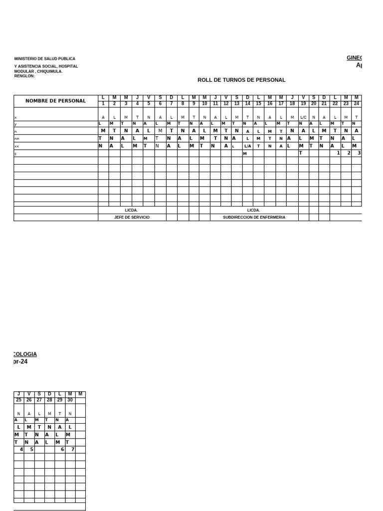 Formato de Roll de Turnos | PDF