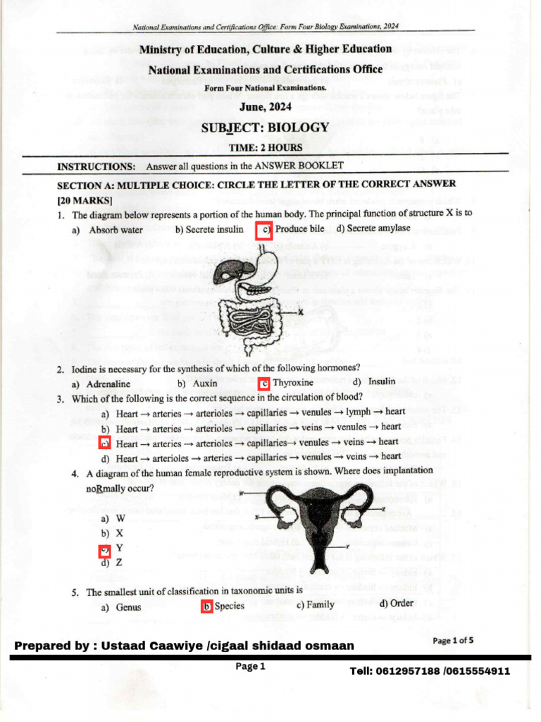 Biology Exam Answers 2024 | PDF