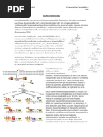 Betametasona Corteroid: Indicaciones y Uso | PDF | Glucocorticoides ...