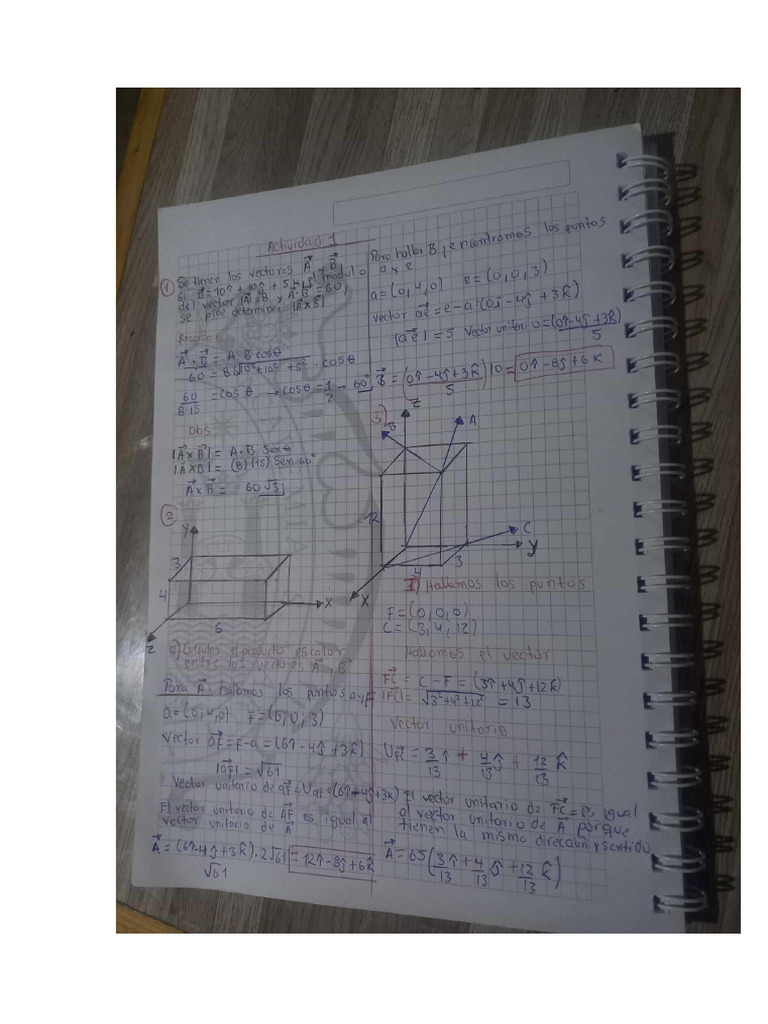 Fi Sica Aaaaaaaaaaaaaaa | PDF