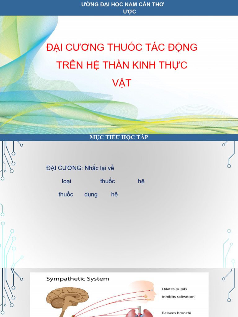 Bài 3 a - Đại Cương Thuốc Tác Động Lên Hệ Tktv | PDF