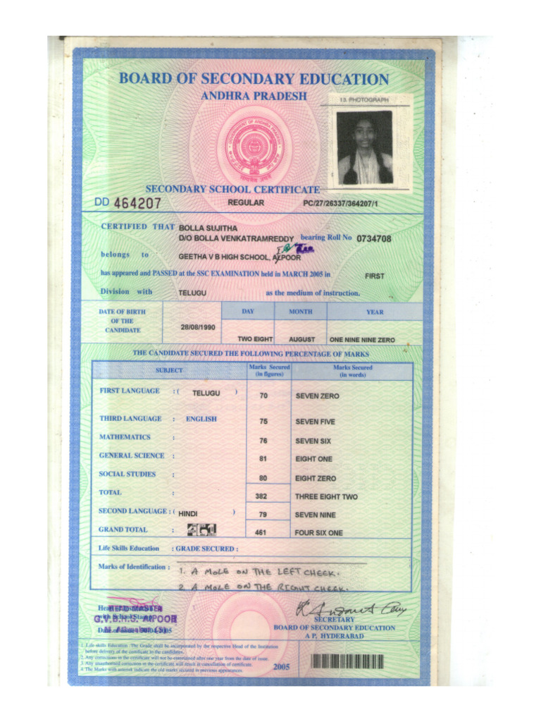 10th Marks List | PDF