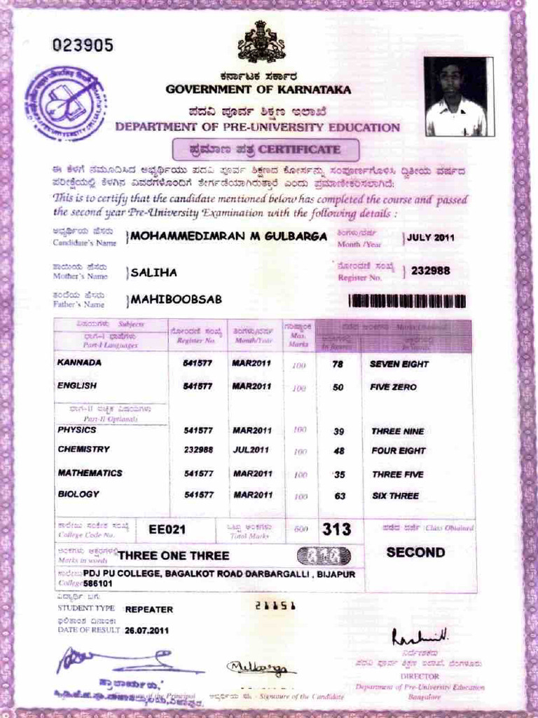 PUC (Inter) Mark List | PDF