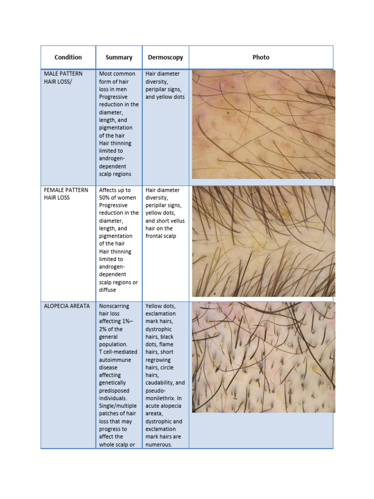 Dermoscopy Tosti Summary | PDF | Hair Loss | Hair