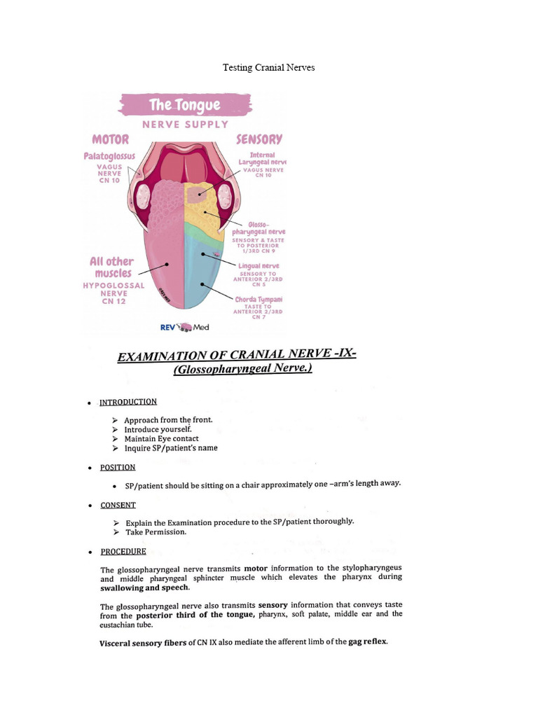 Testing Cranial Nerves (1) | PDF