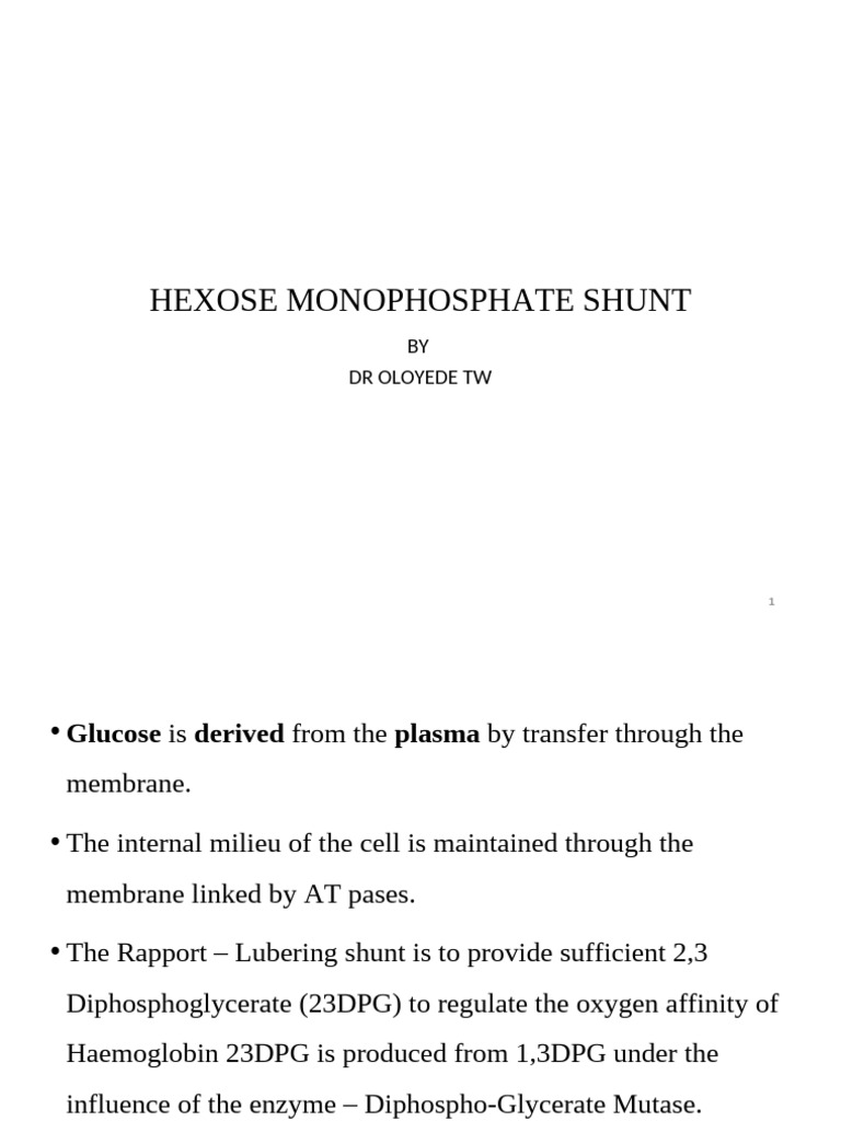 Hms 2024 | PDF | Glycolysis | Metabolic Pathway