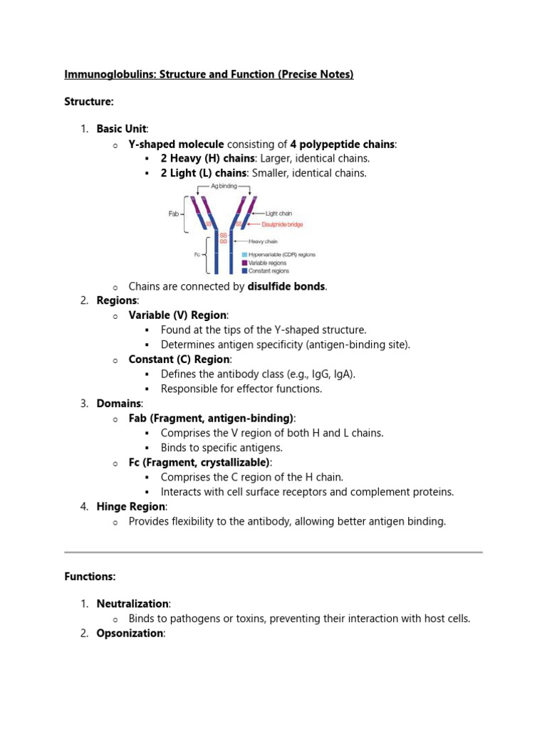 Immunoglobulins and Digestion Overview | PDF | Antibody | Small Intestine