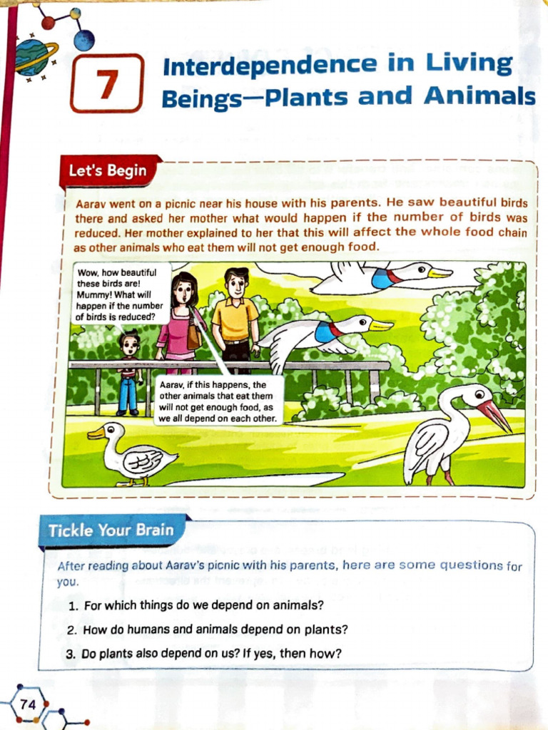 Interdependence of Life: Plants & Animals | PDF | Decomposition | Foods