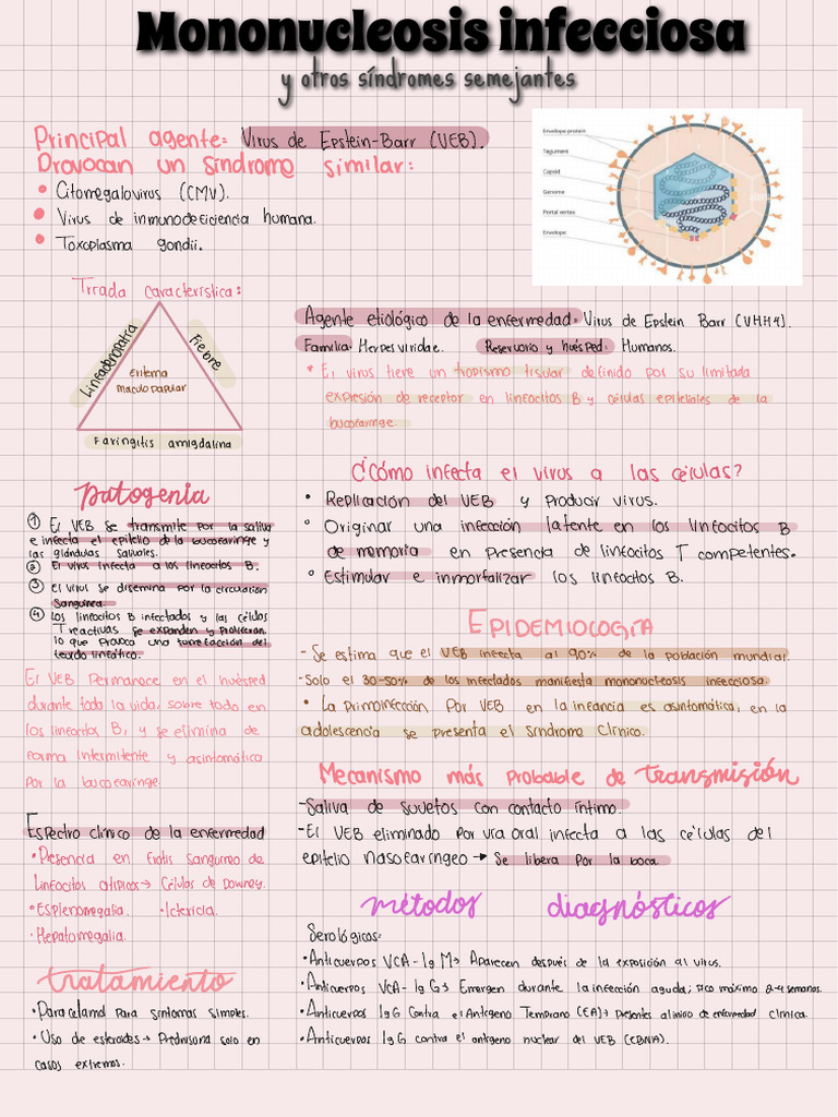 MONONUCLEOSIS | PDF