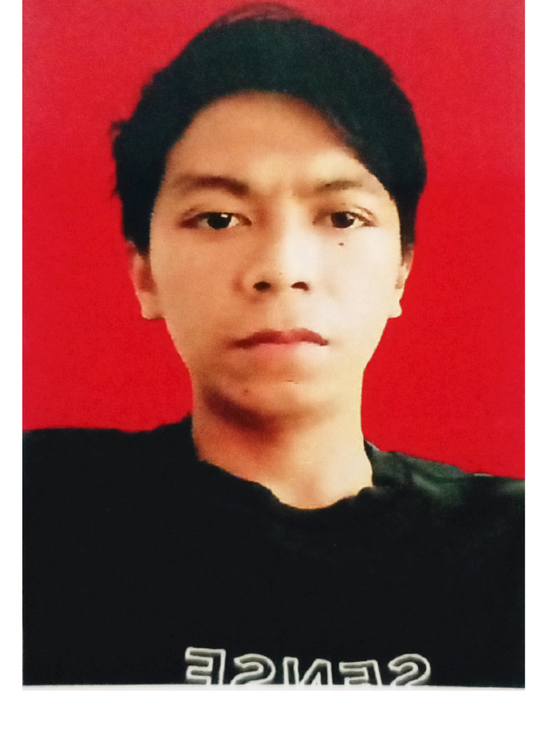 ACE Scanner - 2024 - 11 - 19 | PDF