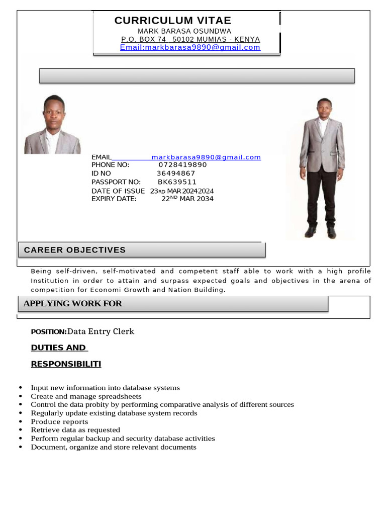 Data Clerk Career Overview | PDF | Databases | Data