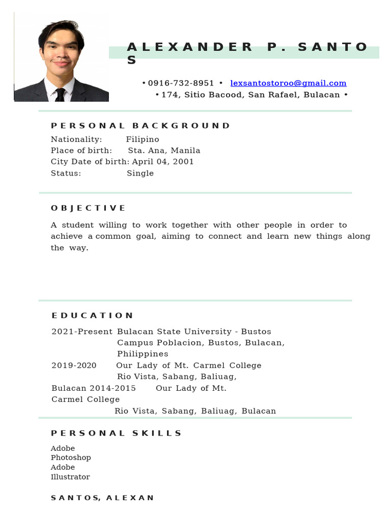 Alex Santos Resume Summary | PDF
