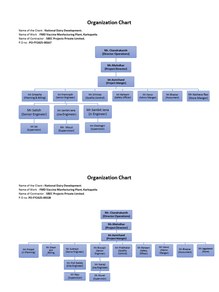 Orginasation Chart | PDF