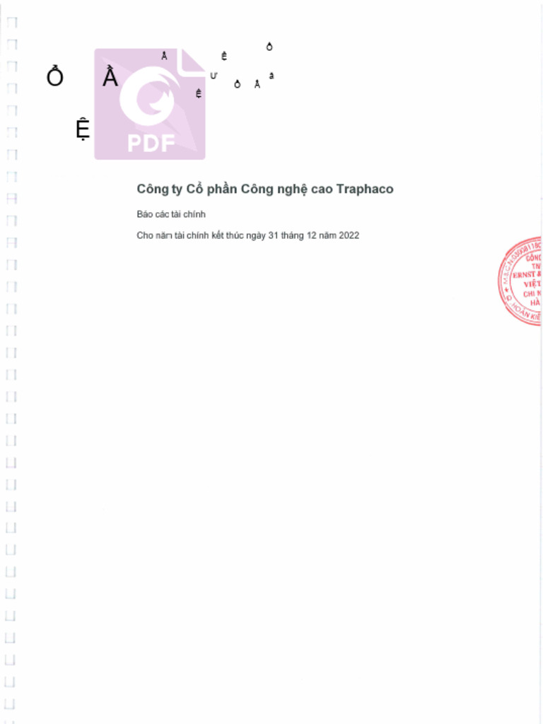 Bao Cao Tai Chinh Nam 2022 Da Duoc Kiem Toan | PDF