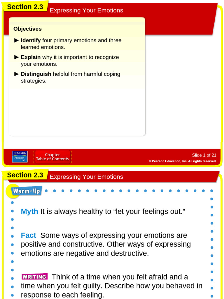 HPE06_ch02_s3 | PDF | Emotions | Anger