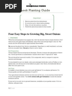 Onion Production Guide PDF | PDF | Onion | Fertilizer