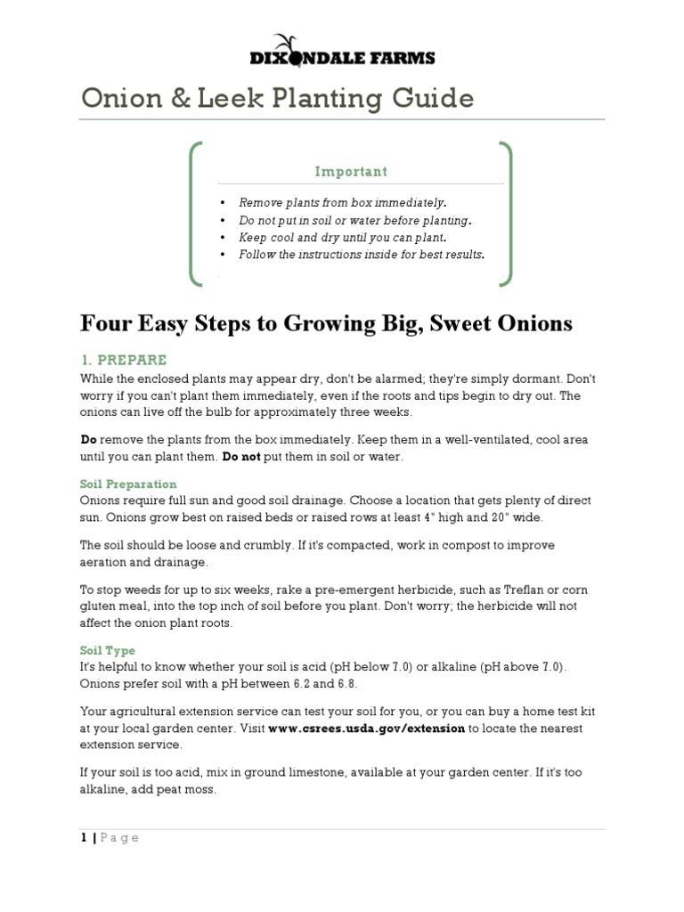 Onion Planting Guide | PDF | Onion | Soil