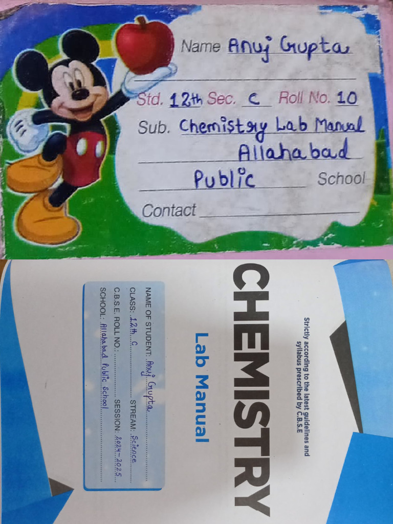 Chem Practical | PDF