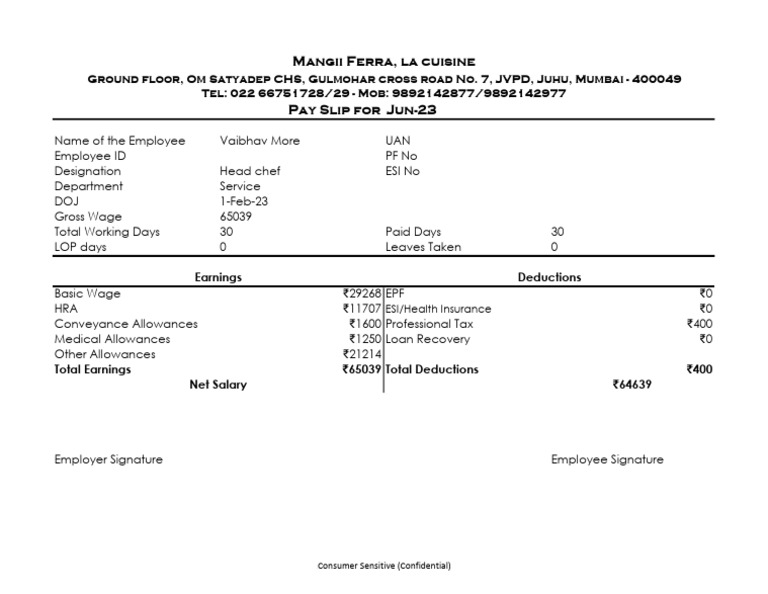 Vaibhav June Salary Slip | PDF
