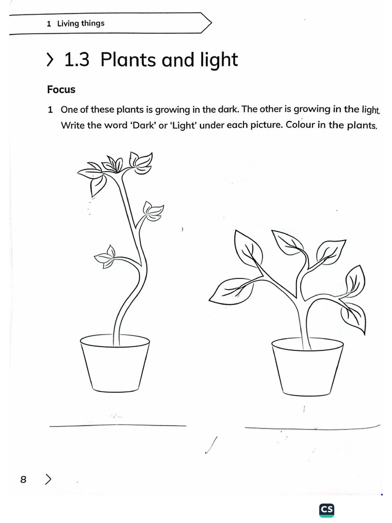 Year 1 Homework 18sept24. Due 23 Sept 24 | PDF