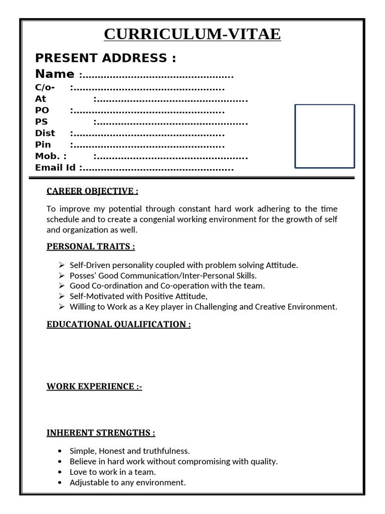 BLANK CV | PDF