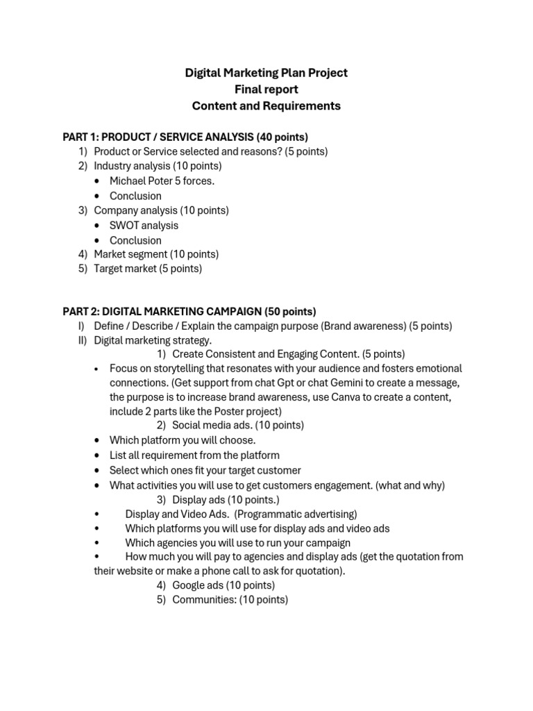 Digital Marketing Plan Project | PDF