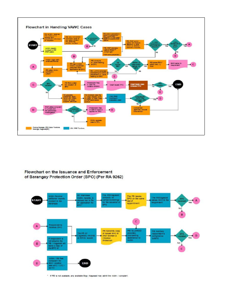 VAWC Flowchart and Issuance of BPO | PDF
