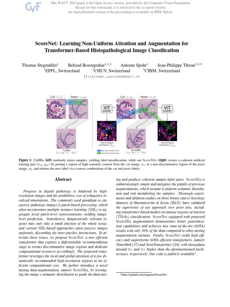 Stegmuller_ScoreNet_Learning_Non-Uniform_Attention_and_Augmentation_for_Transformer-Based ...