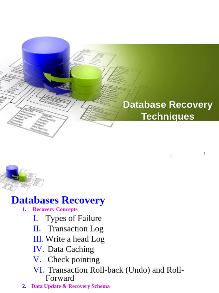 Chapter 5 - Recovery Techniques | PDF | Database Transaction | Databases
