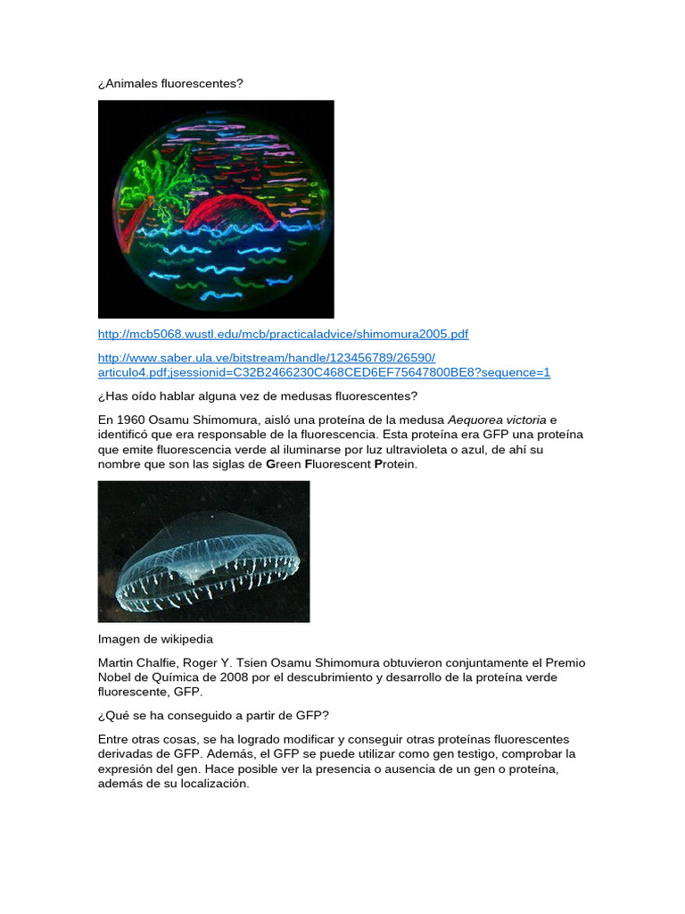 Articulo4 PDF Jsessionid ?sequence 1 | PDF