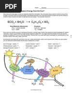 Amoeba Sisters: Alleles and Genes Recap | PDF | Genotype | Allele