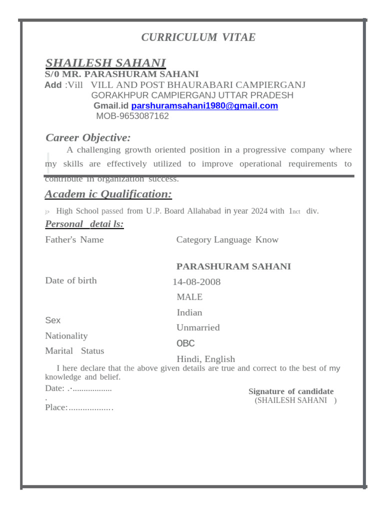 Curriculum Vitae Shailesh Sahani: Career Objective | PDF