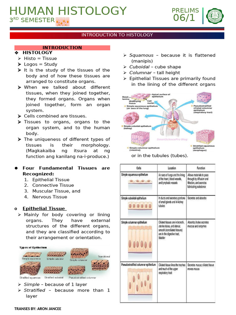 MED3_ Lesson #1 | PDF | Epithelium | Tissue (Biology)