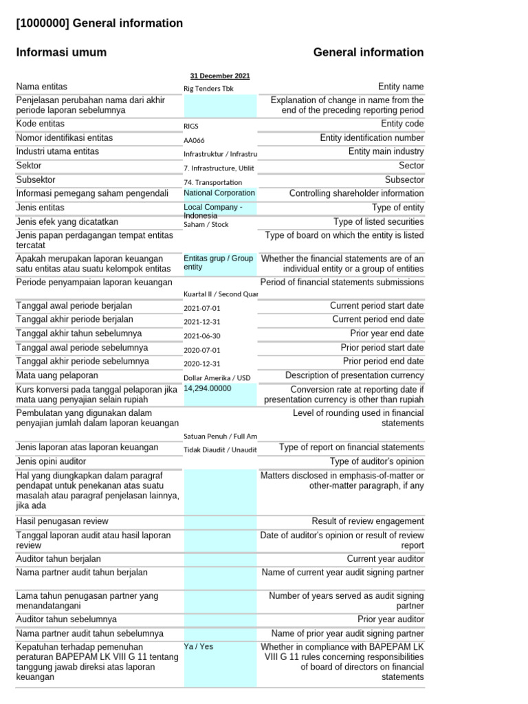 FinancialStatement 2021 II RIGS | PDF