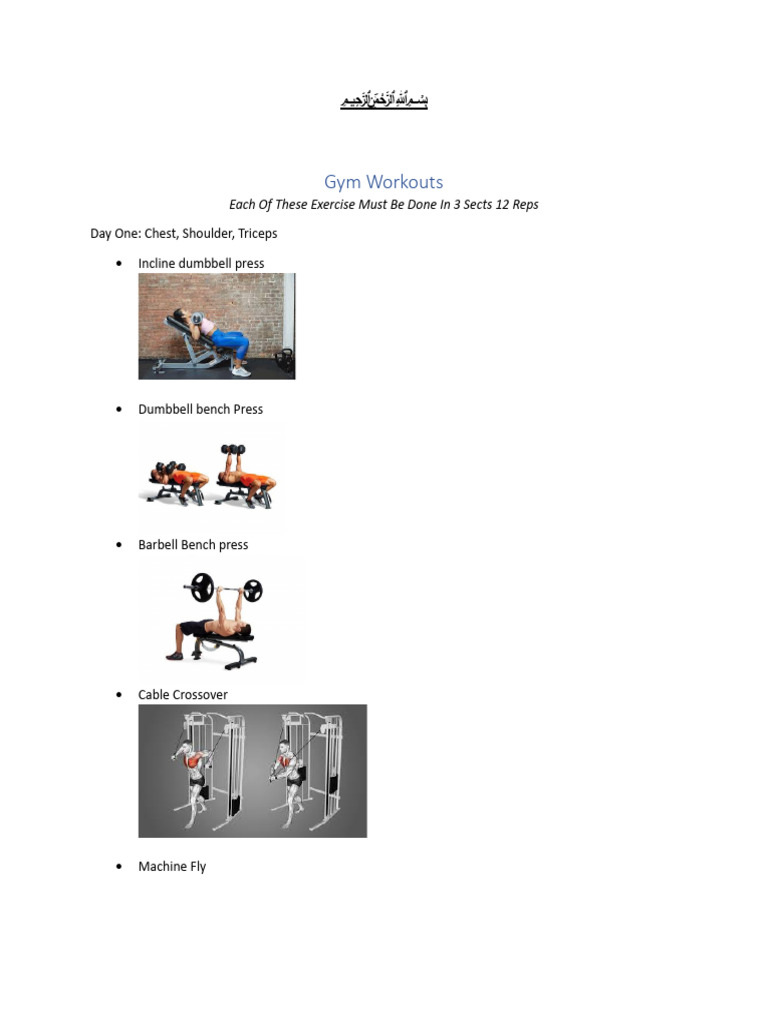 Gym Workouts Pdf