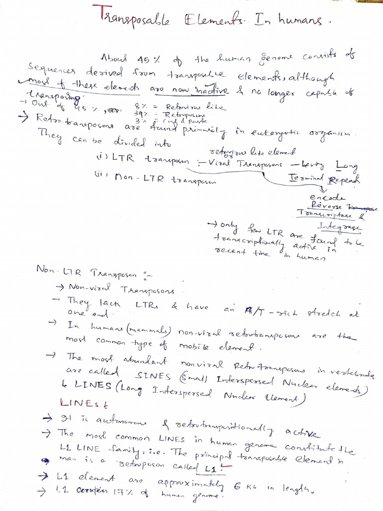Transposons in Human | PDF | Macromolecules | Genetics