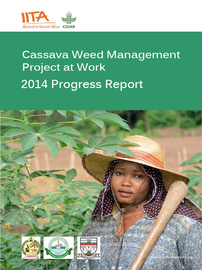 Cassava Weed Annual Report 2014 | PDF | Herbicide | Agronomy
