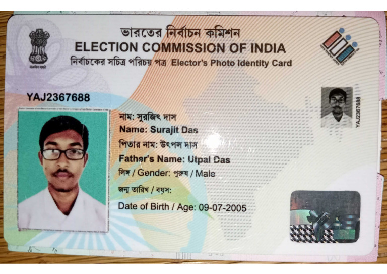 Voter ID | PDF