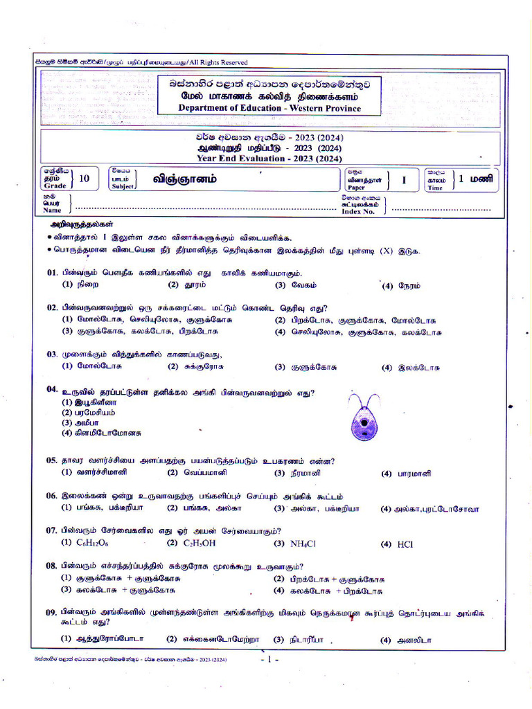 GR-10-Year End Evaluation-2023 (2024) - Sci-1 - Western Province | PDF