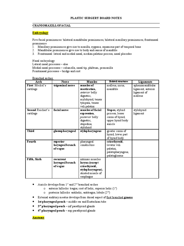 Plastic Surgery Board Notes | PDF | Human Nose | Human Anatomy