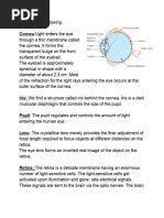 Understanding Glare: Types and Effects | PDF | Contrast (Vision) | Eye