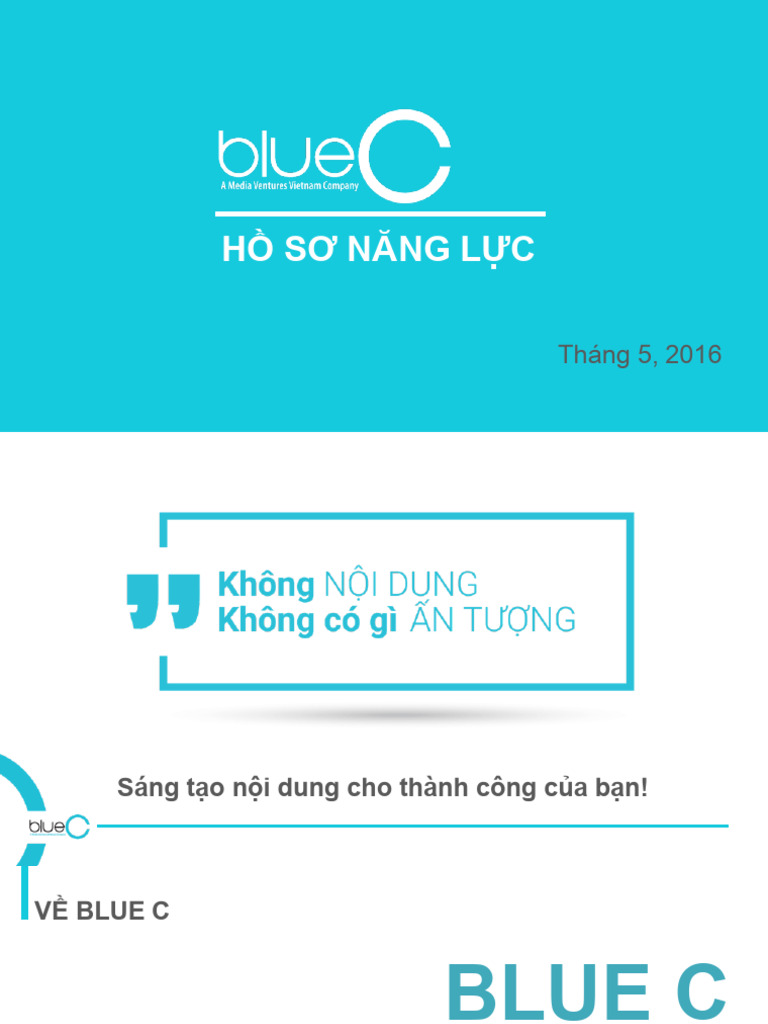 BLUE C Credentials Vietver 3005 | PDF