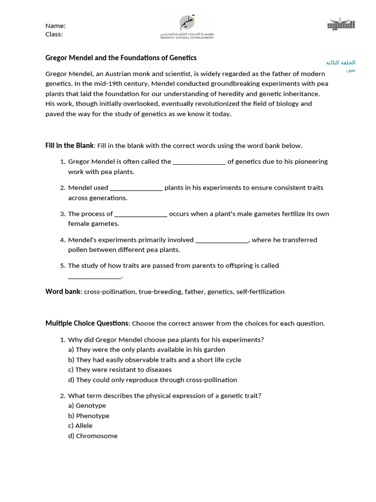 Mendelian genetics worksheet | PDF | Dominance (Genetics) | Genetics