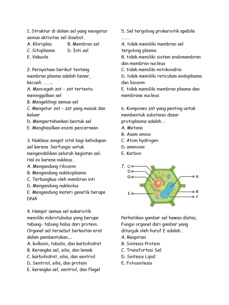 Soal Sel Kelas 11: Struktur dan Fungsi | PDF
